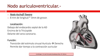 Anatomía clínica del corazón | PPTX