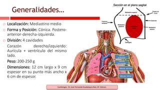 Anatomía clínica del corazón | PPTX