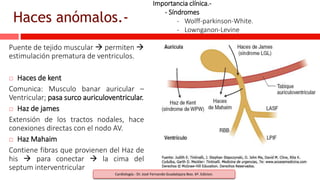 Anatomía clínica del corazón | PPTX