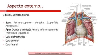 Anatomía clínica del corazón | PPTX