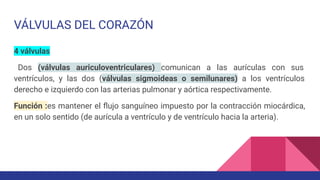 ANATOMÍA CLÍNICA DEL CORAZÓN.pdf