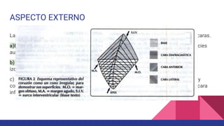ANATOMÍA CLÍNICA DEL CORAZÓN.pdf