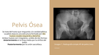 Anatomía clínica DE PELVIS Y MUSCULOS PELVICOS.pptx