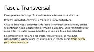 Anatomía clínica DE PELVIS Y MUSCULOS PELVICOS.pptx