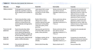 Anatomía clínica DE PELVIS Y MUSCULOS PELVICOS.pptx