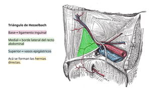Anatomía clínica DE PELVIS Y MUSCULOS PELVICOS.pptx