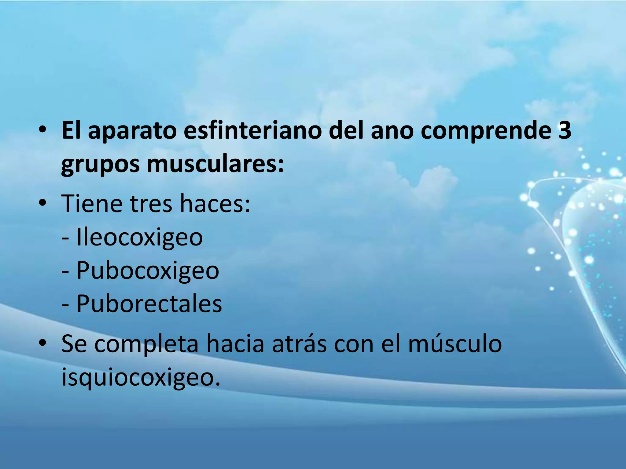 Anatomía colon ano y recto | PPTX