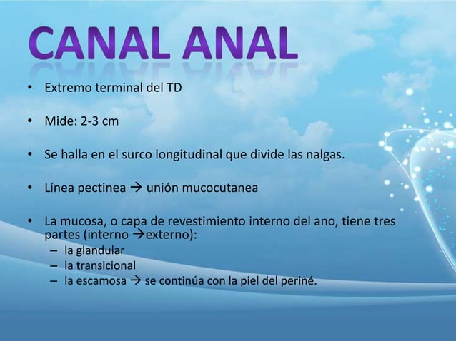 Anatomía colon ano y recto | PPTX