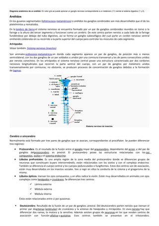 Anatomía comparada (2) | DOC