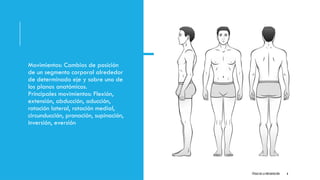 anatomía cabeza y cuello principios basicos | PPTX