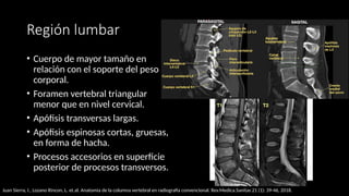 Anatomía de la columna vertebral radiologica | PPTX