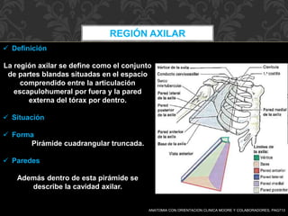 Fosa axilar y plexo braquial.pptx