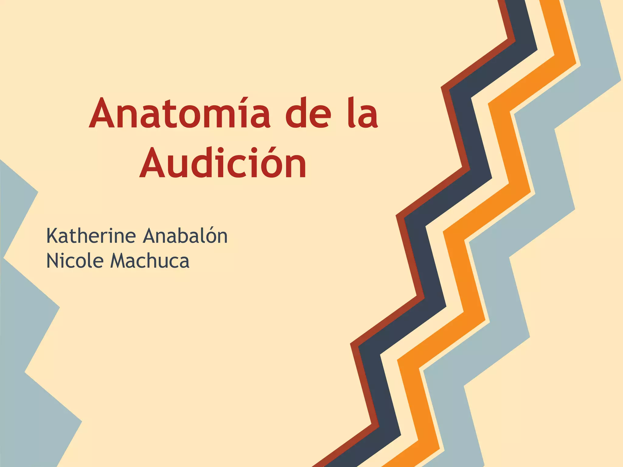 Anatomía de la audición | PPTX