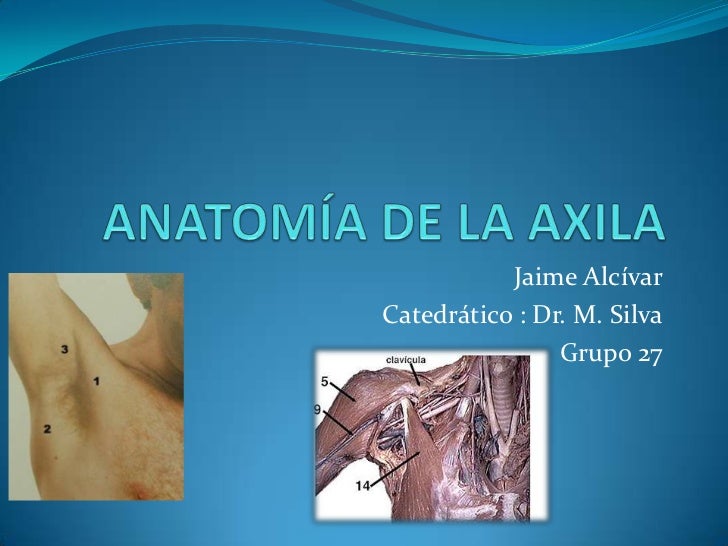 Linfonodomegalia Axilar Linfonodomegalia Axilar