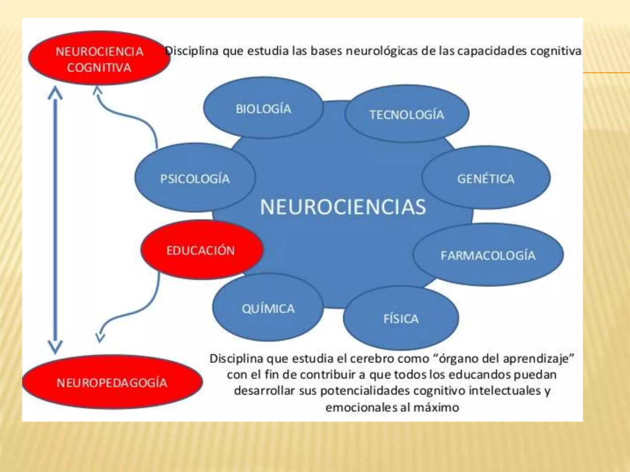 Anatomía de la cognición (rlc) | PPTX