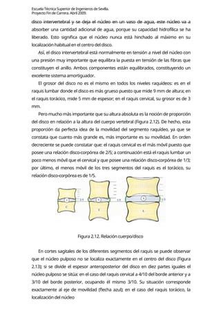 LaAnatomía de la columna vertebral..docx