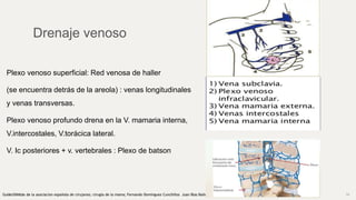 Anatomía de la glándula mamaria.pptx
