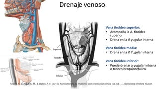Anatomía de la glándula Tiroides.pptx