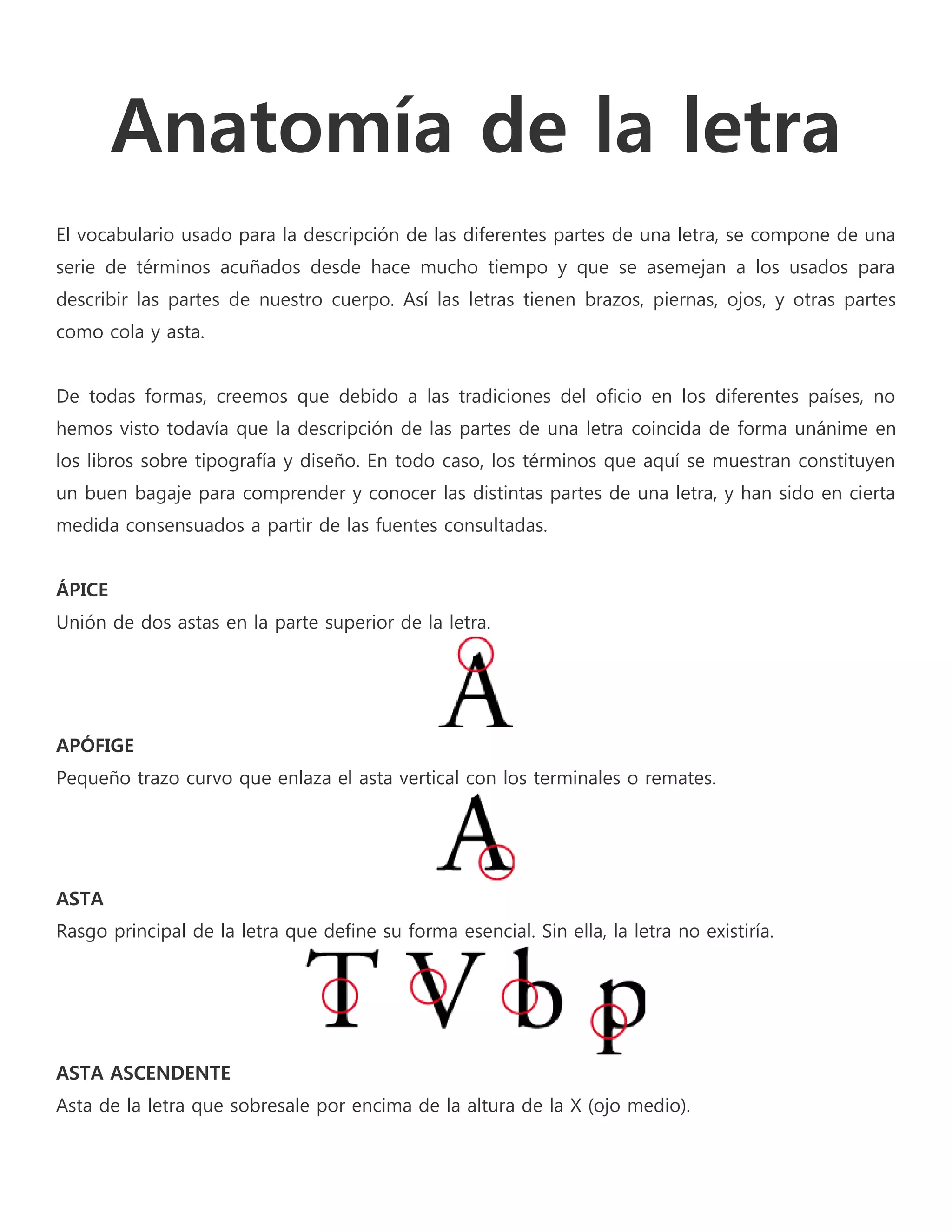 Anatomía de la letra | DOC