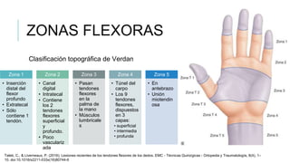 Anatomía de la mano.pptx