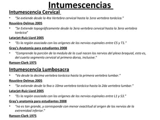 Anatoma de la_medula_espinal | PPT