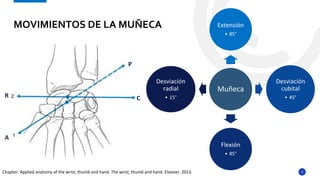Anatomía de la muñeca.pptx