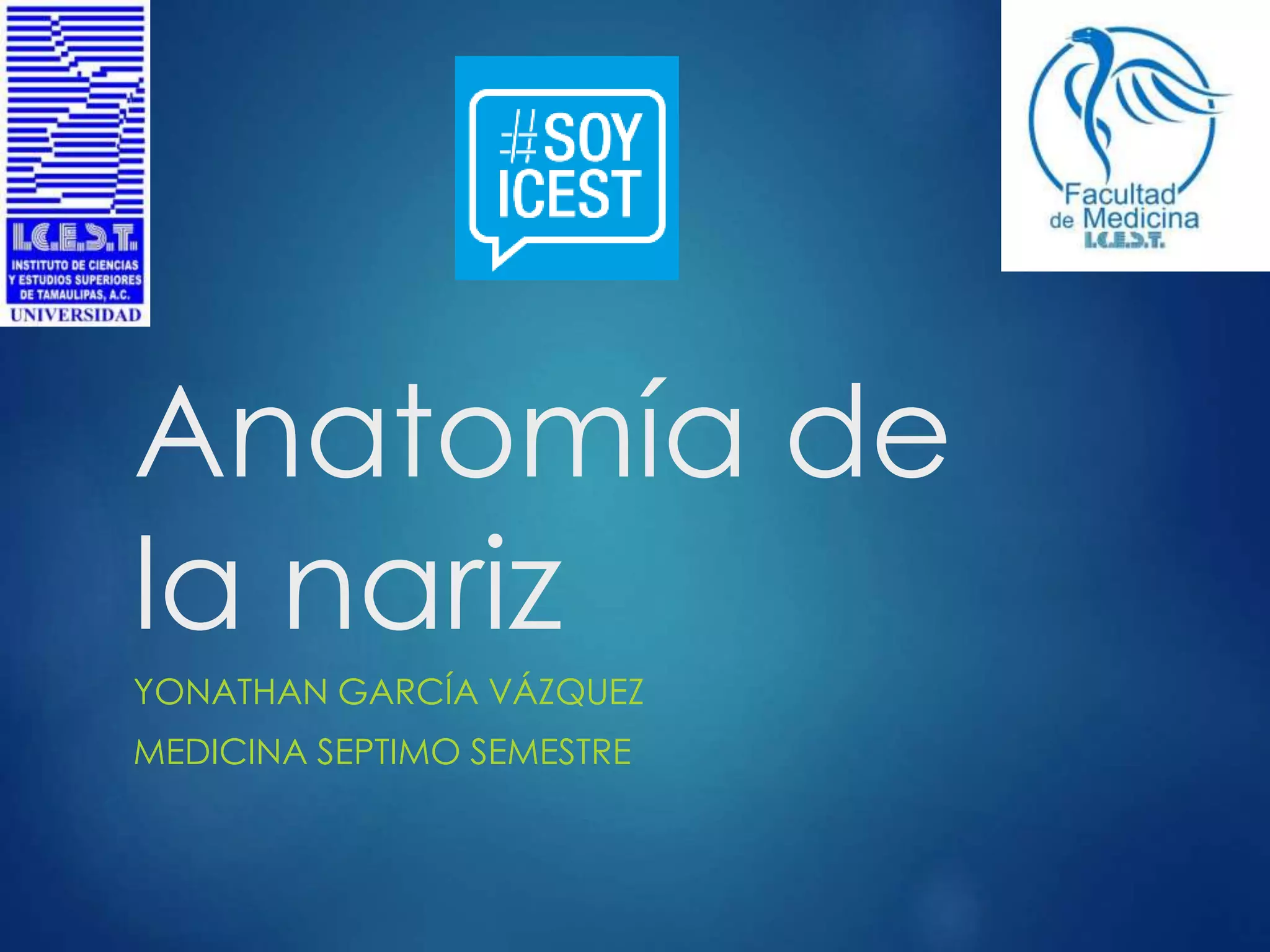 Anatomía de la nariz | PPT