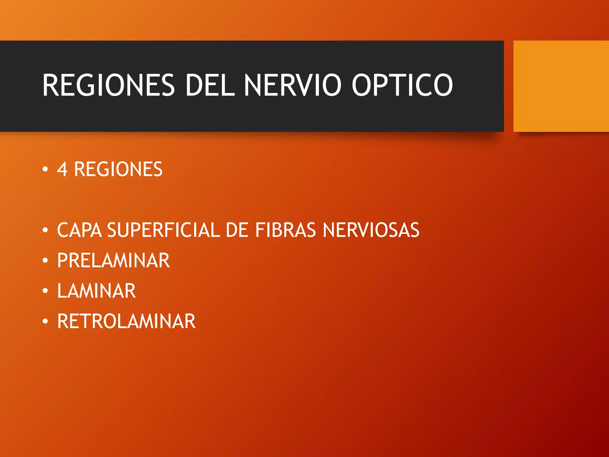 Anatomía de la papila | PPT
