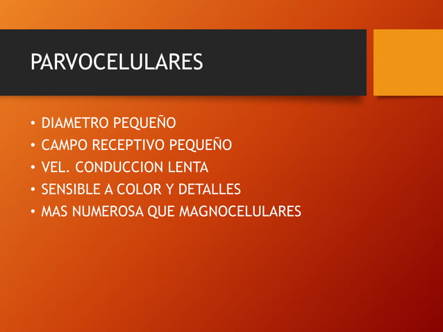 Anatomía de la papila | PPT