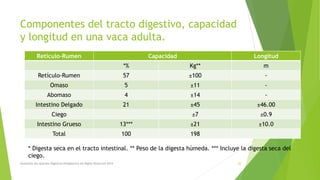 Anatomía del aparato digestivo poligástrico | PPTX