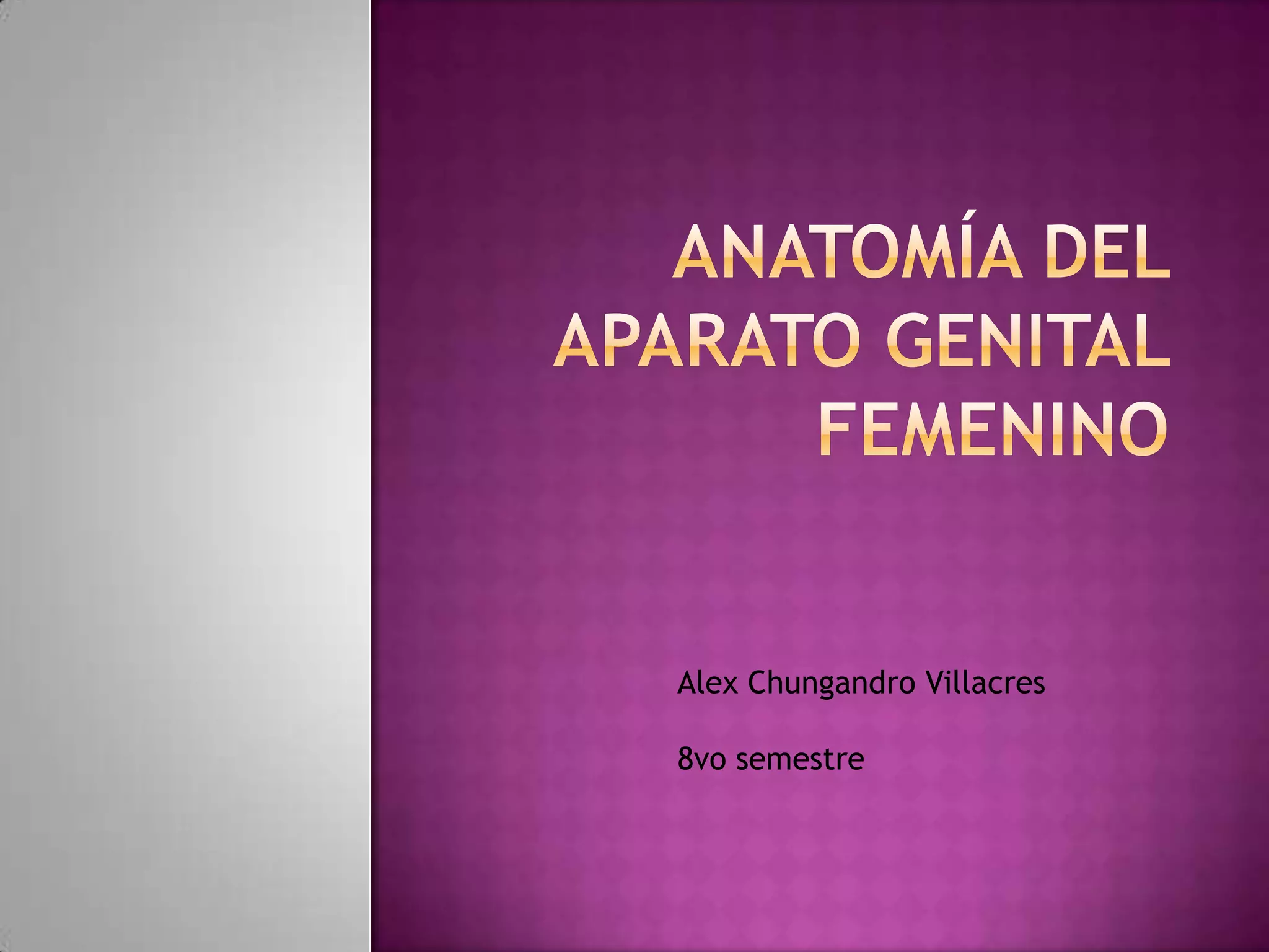 Anatomía Del Aparato Genital Femenino Ppt