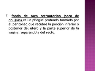 Anatomía del aparato genital femenino | PPTX