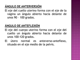 Anatomía del aparato genital femenino | PPTX