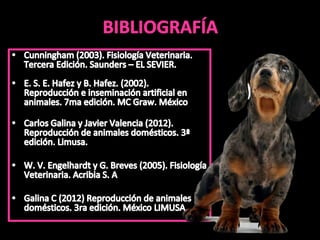 Anatomía del aparato reproductor de la hembra (Animales) | PPTX