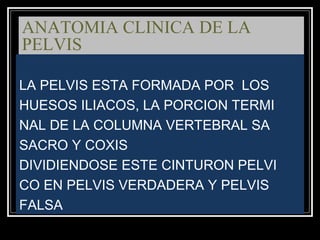 Anatomía de la Pelvis | PPT