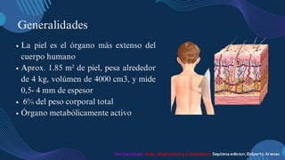 Medicina anatomía de la piel y sus anexos | PDF