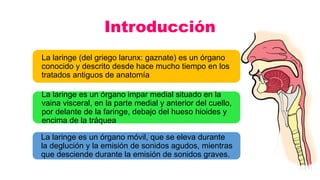 Anatomía de laringe y sus relaciones anatomícas | PPTX