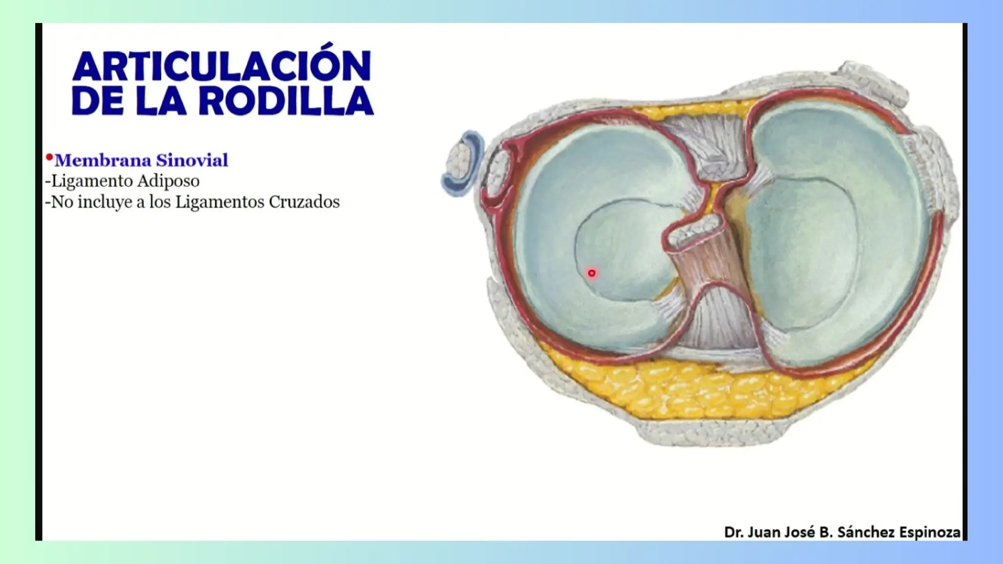 Anatomía de la rotula_20231123_224421_0000.pdf