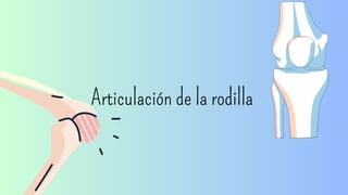 Anatomía de la rotula_20231123_224421_0000.pdf
