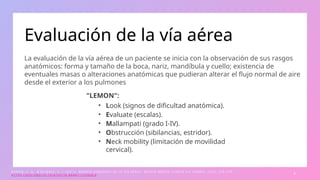 Anatomía de la Vía Aérea tecnica de intubacion | PPTX