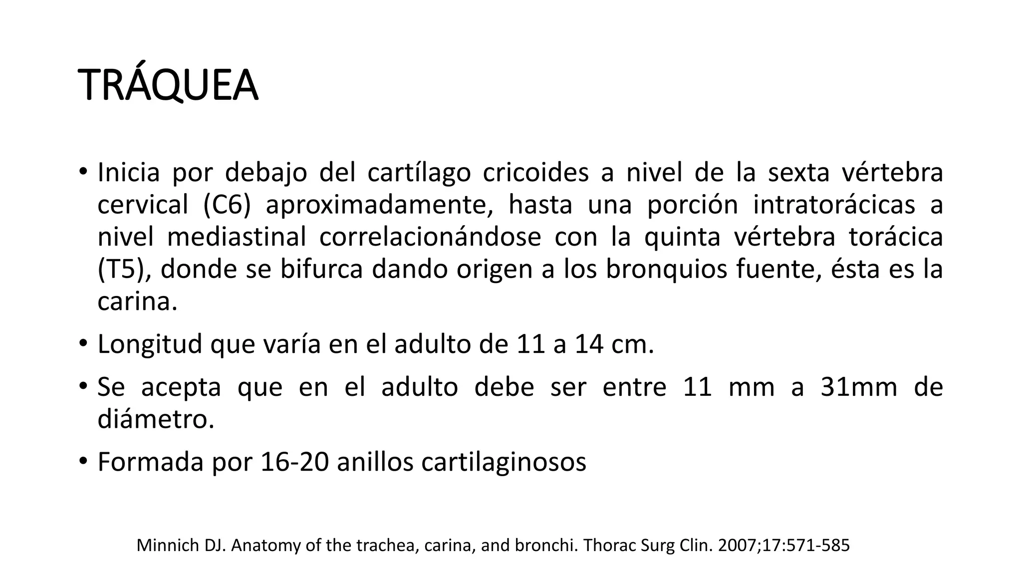 ANATOMÍA DE LA VIA AÉREA Y CAJA TORÁCICA | PPTX