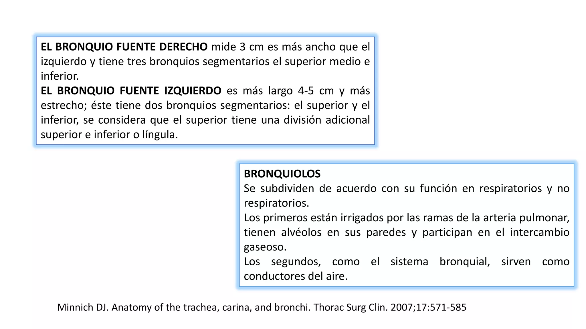 ANATOMÍA DE LA VIA AÉREA Y CAJA TORÁCICA | PPTX