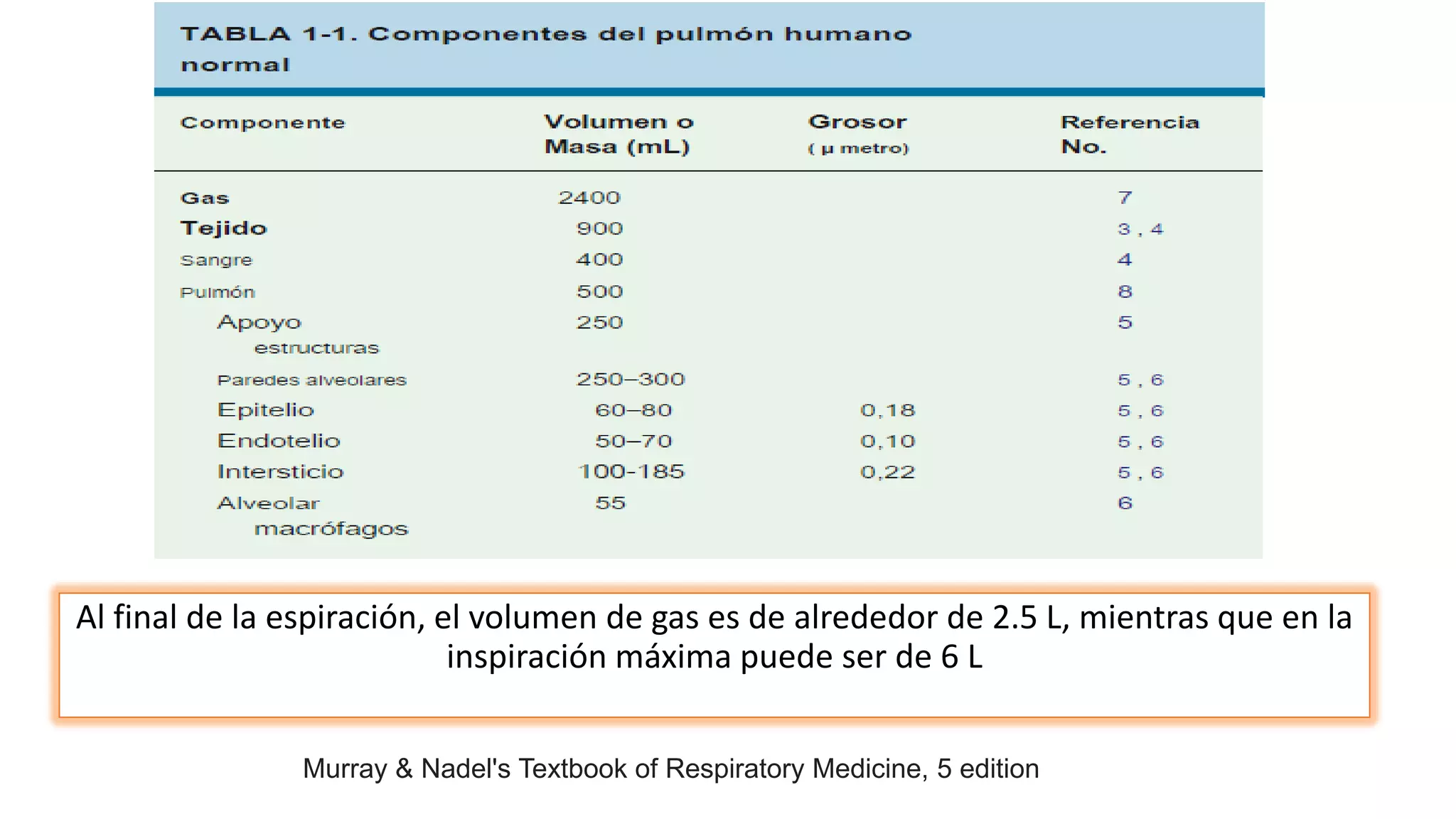 ANATOMÍA DE LA VIA AÉREA Y CAJA TORÁCICA | PPTX