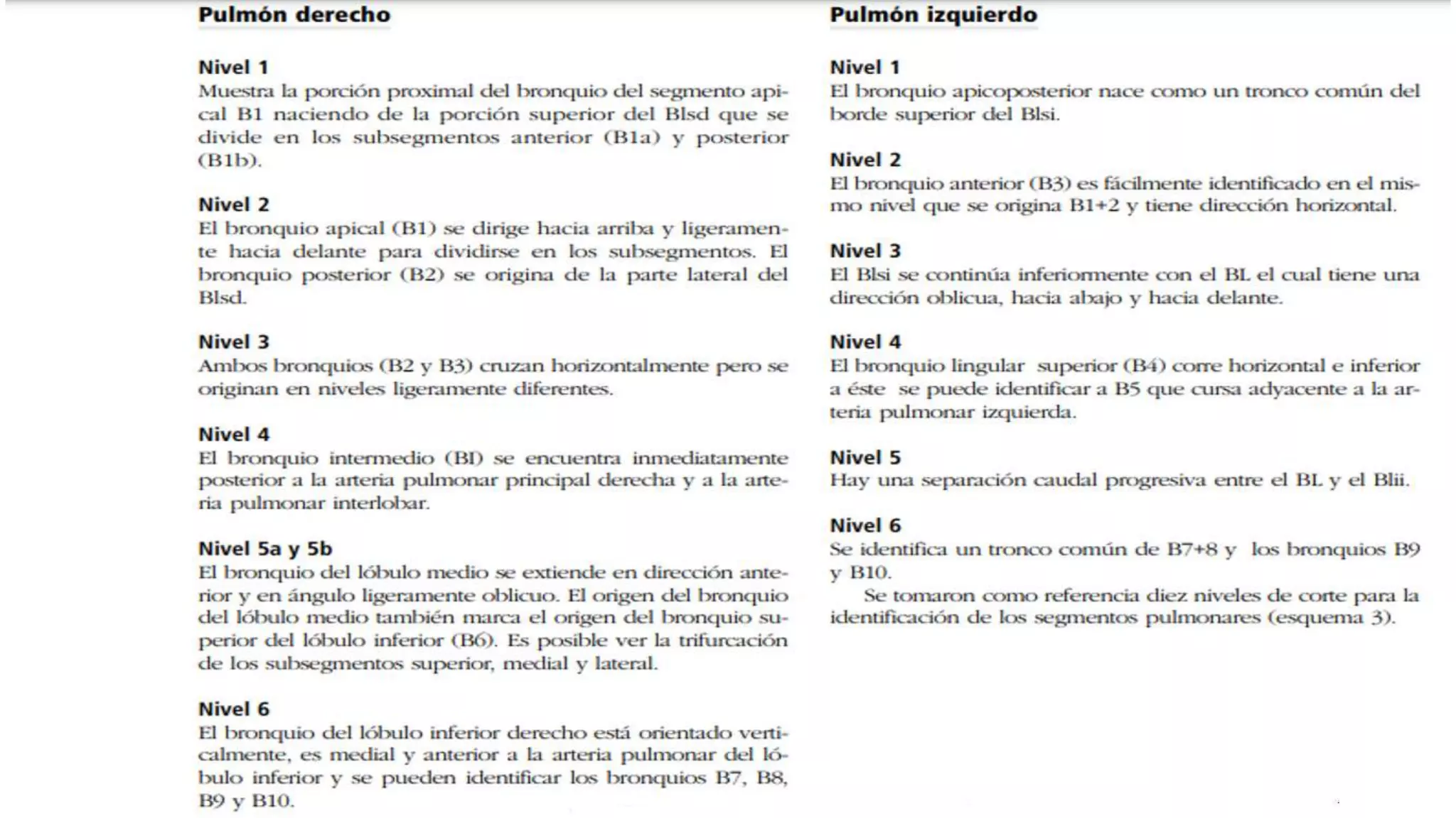 ANATOMÍA DE LA VIA AÉREA Y CAJA TORÁCICA | PPTX