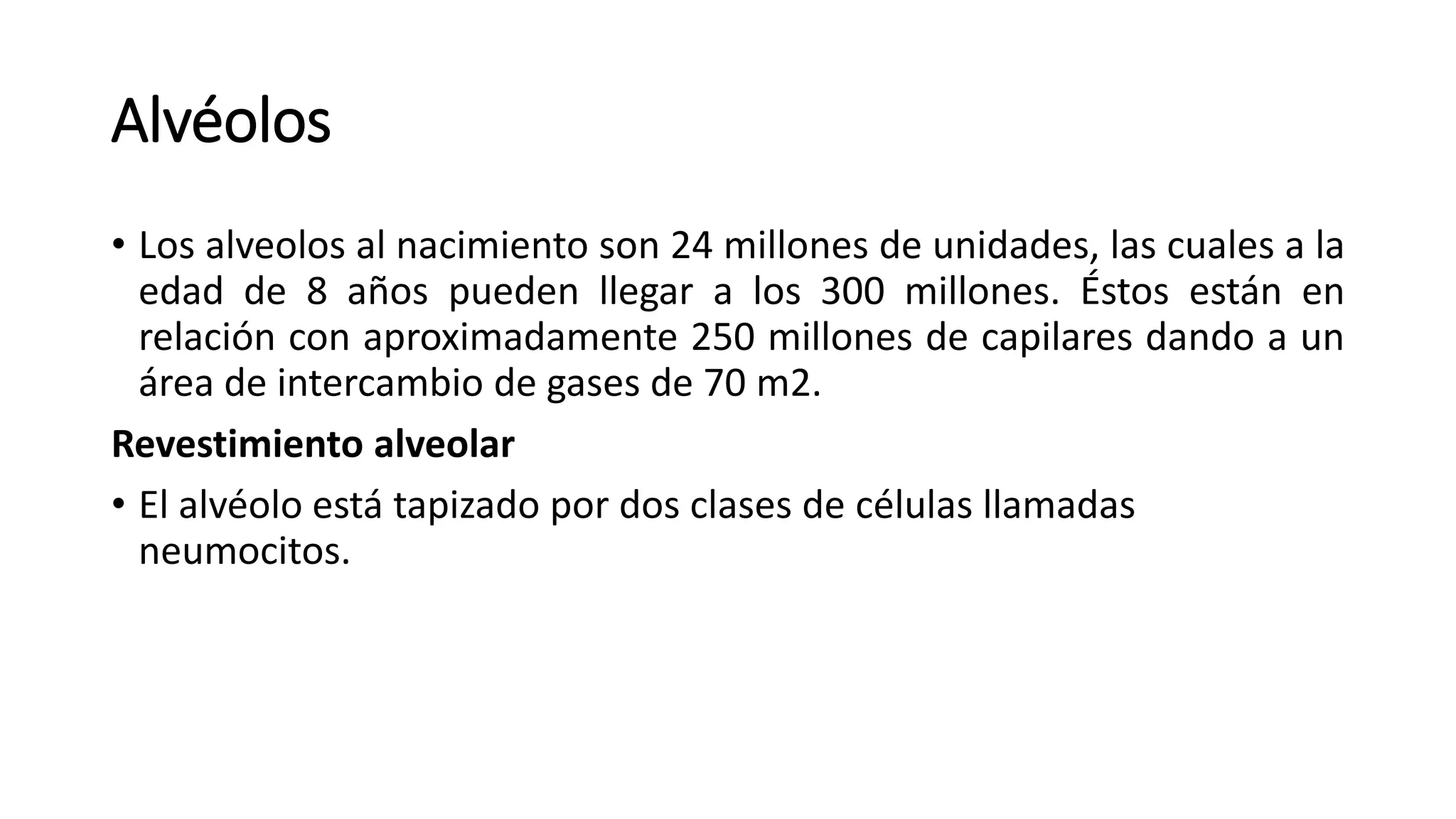 ANATOMÍA DE LA VIA AÉREA Y CAJA TORÁCICA | PPTX