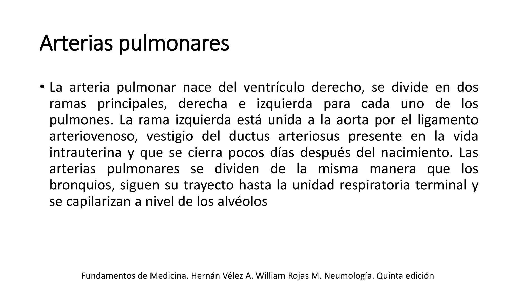 ANATOMÍA DE LA VIA AÉREA Y CAJA TORÁCICA | PPTX