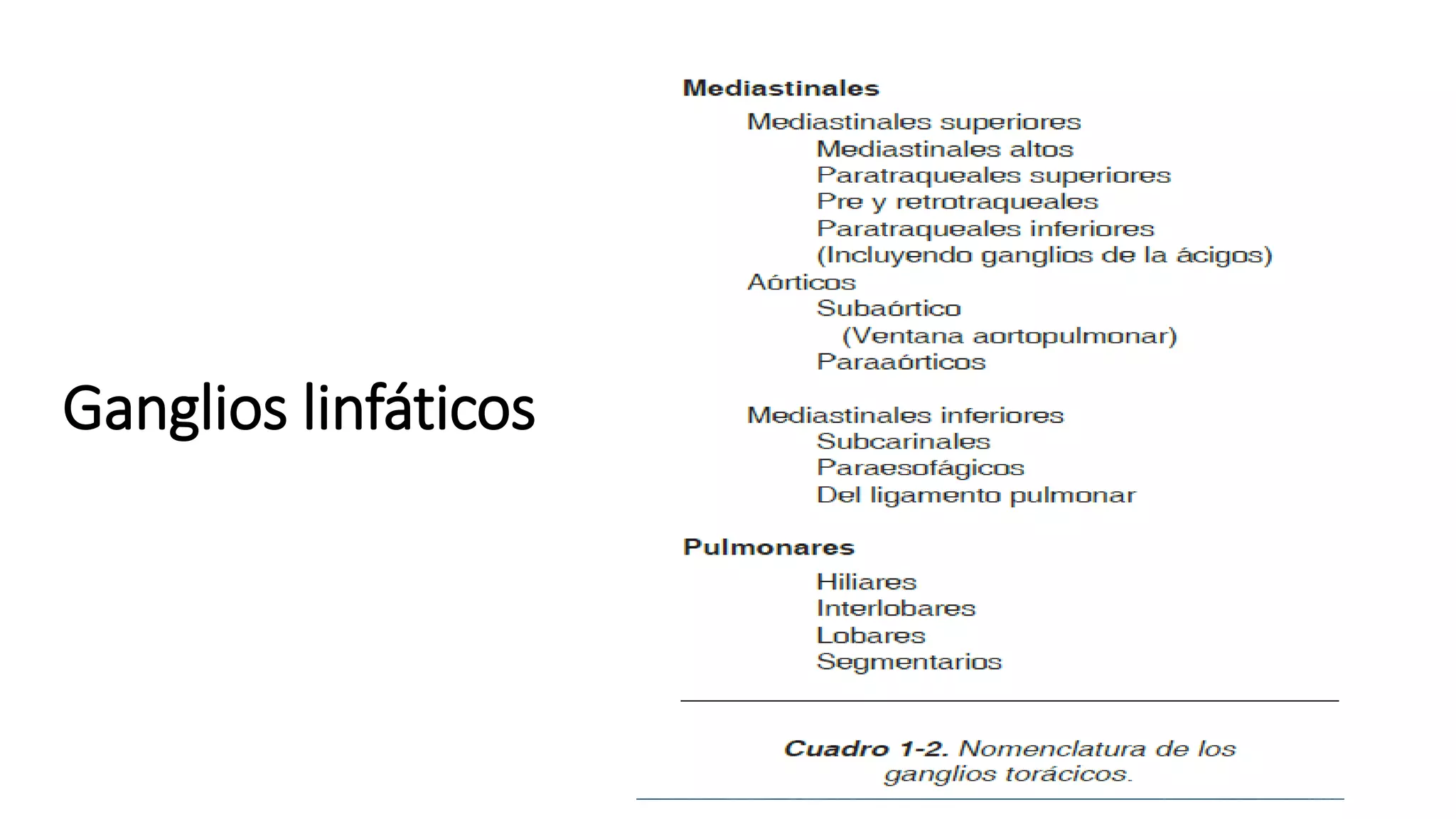 ANATOMÍA DE LA VIA AÉREA Y CAJA TORÁCICA | PPTX