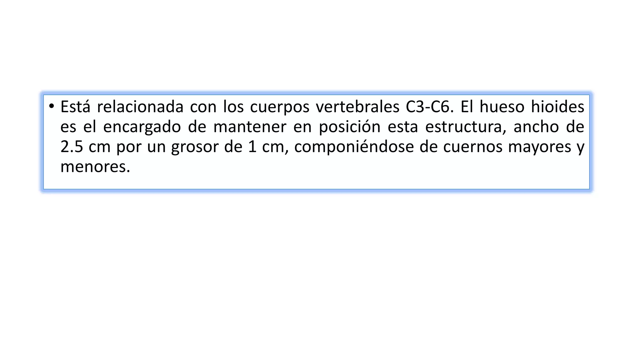 ANATOMÍA DE LA VIA AÉREA Y CAJA TORÁCICA | PPTX
