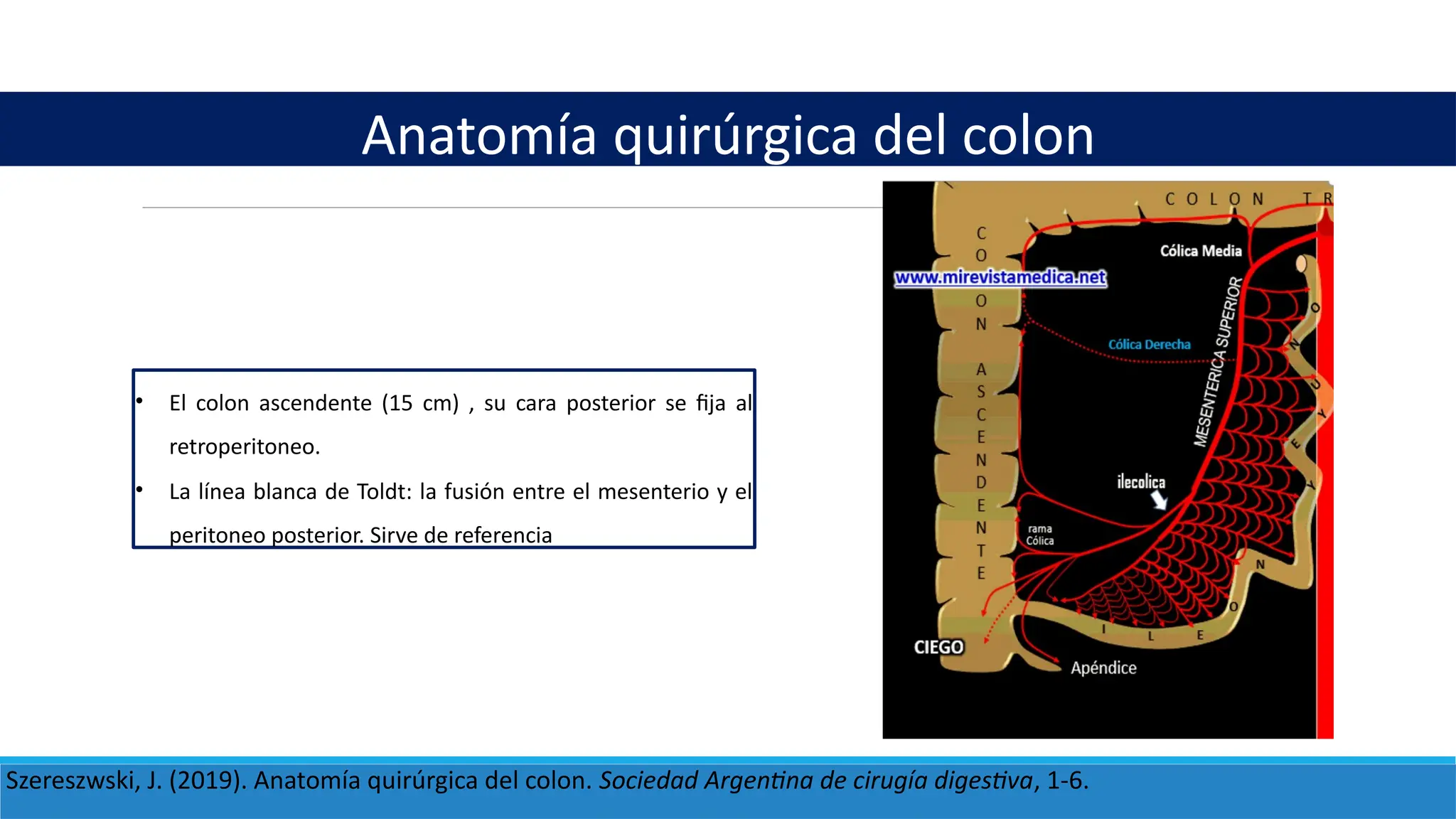 Anatomía quirúrgica de toda la extensión del colon.pptx