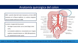 Anatomía quirúrgica de toda la extensión del colon.pptx